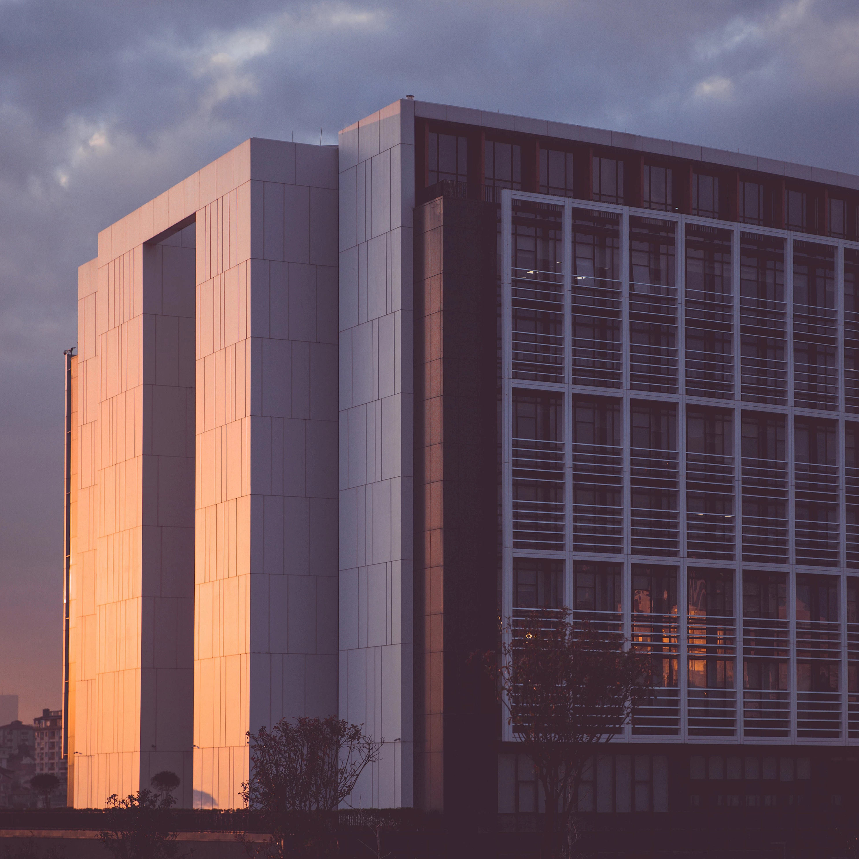 Homepage | Medipol University