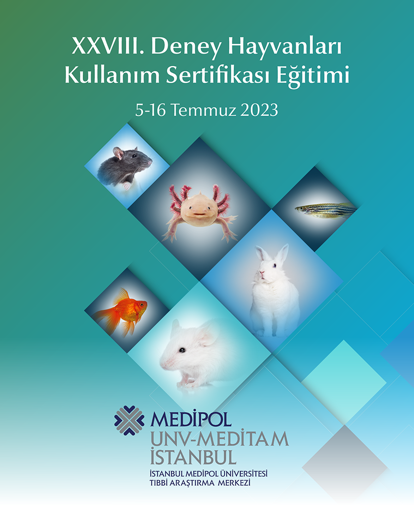 XXVIII. Deney Hayvanları Kullanım Sertifikası Eğitim Kursu | Medipol ...